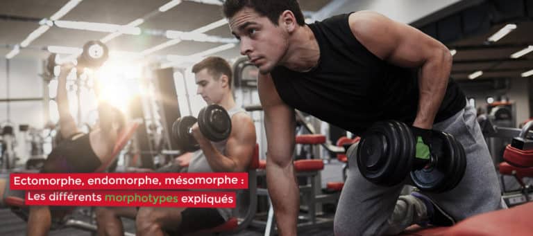 Les morphotypes : Ectomorphe, endomorphe & mésomorphe