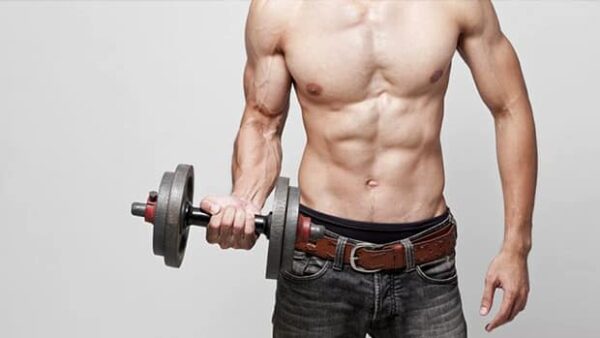 Les morphotypes : Ectomorphe, endomorphe & mésomorphe