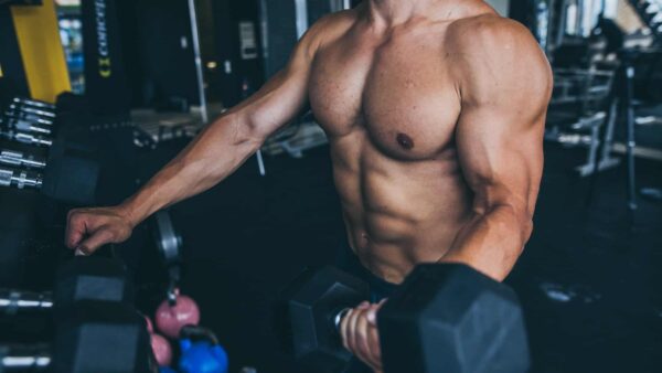 Programme full body musculation : Avantages et exercices