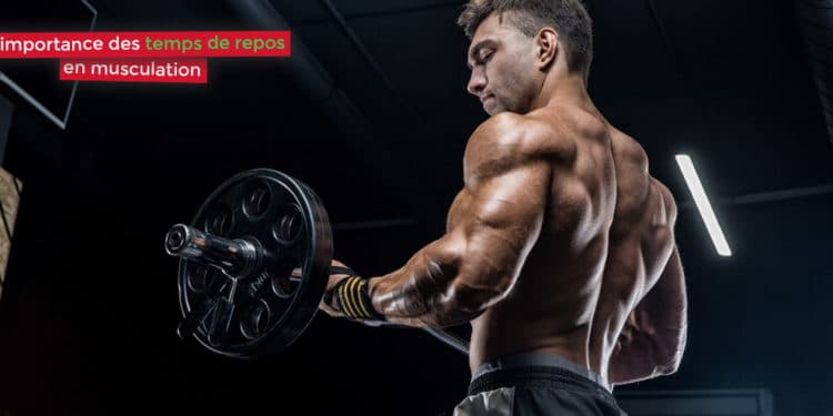 Temps de repos musculation : Bien les choisir pour se muscler