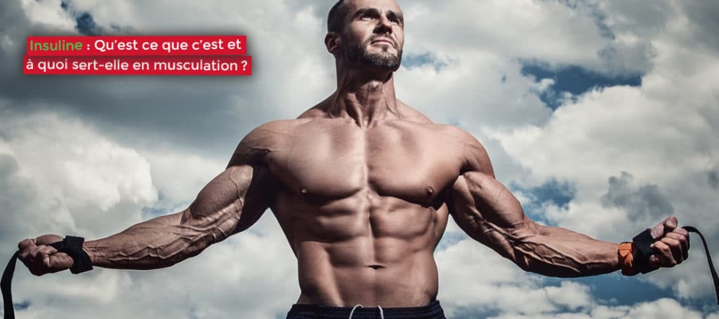 Insuline et Musculation : Une hormone pour prendre de la masse
