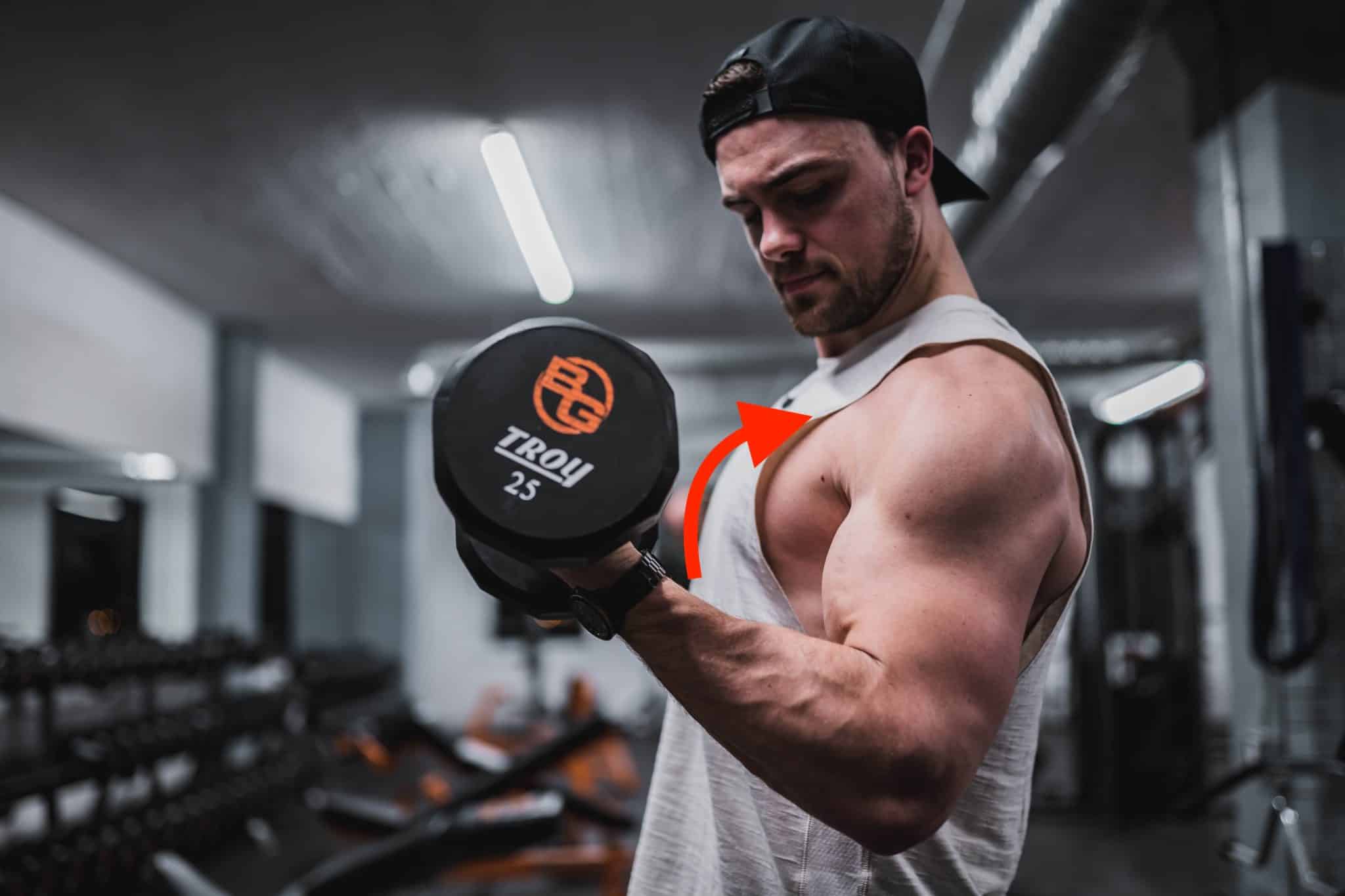 Gagner de la force en musculation : Programme complet force pure