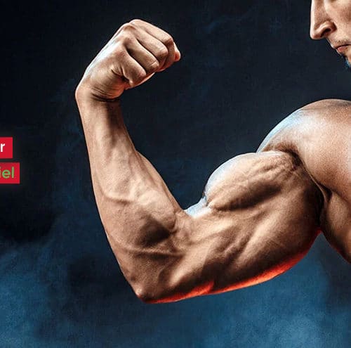 Se muscler les avant bras : Les exercices qui fonctionnent