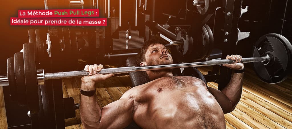 Méthode Push Pull Legs : Un programme de musculation parfait