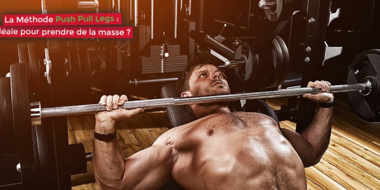 Méthode Push Pull Legs : Un programme de musculation parfait