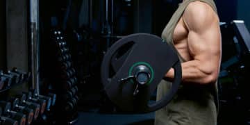 Biceps courts ou longs : des exercices adaptés pour une musculation ...