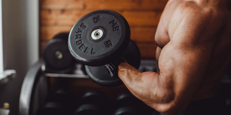 Exercices biceps : Les 5 meilleurs exos pour avoir des gros bras