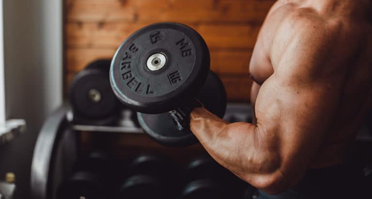 Exercices biceps : Les 5 meilleurs exos pour avoir des gros bras