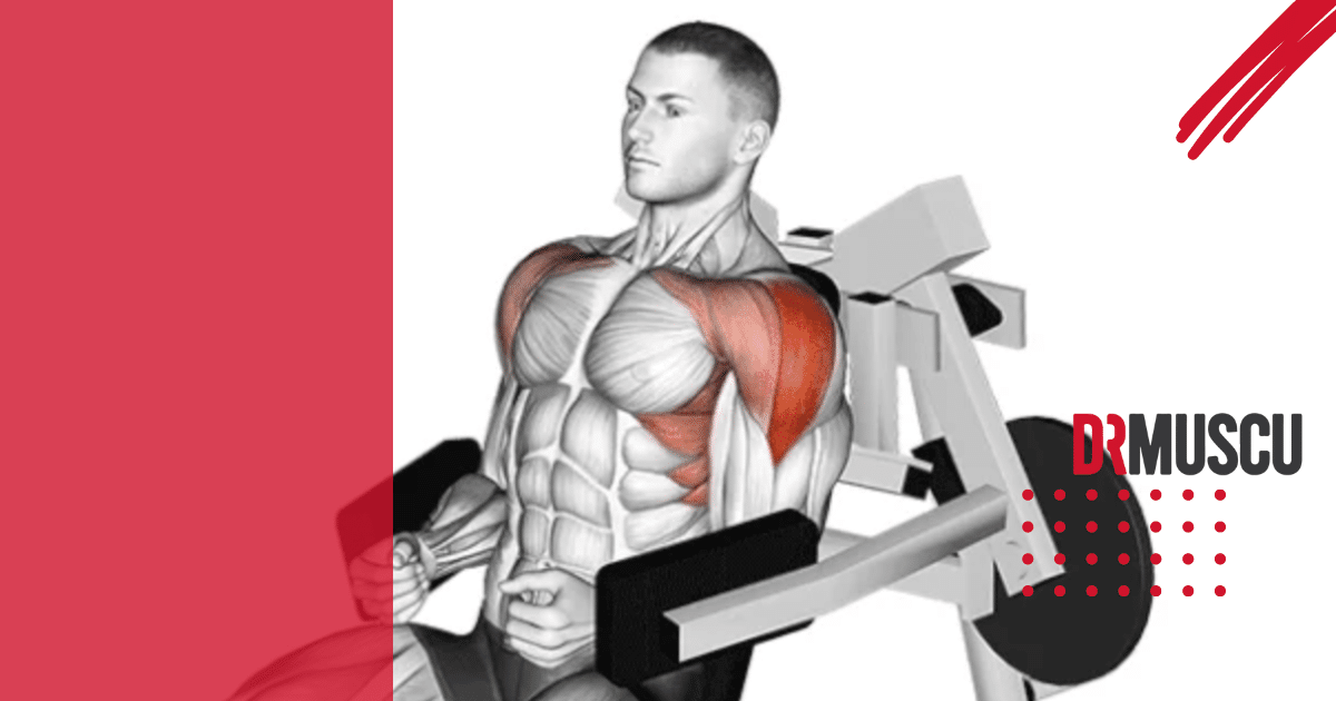 Élévations Latérales à la Machine : Comment Muscler ses épaules