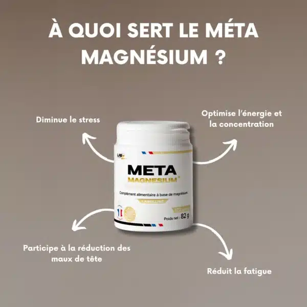 Méta Magnésium - Labz Nutrition 120caps