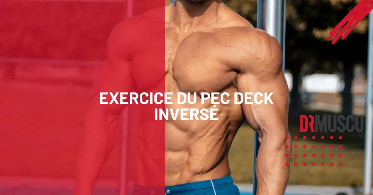 exercice : pec deck inversé
