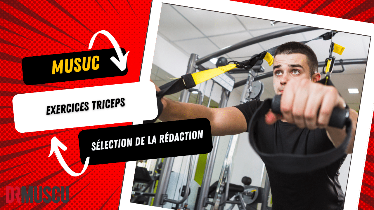 Meilleurs Exercices pour se Muscler les Triceps - Dr muscu