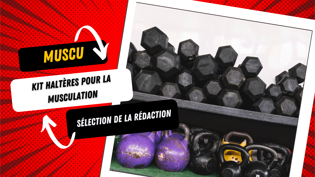 Meilleurs Exercices pour se Muscler les Biceps - Dr muscu